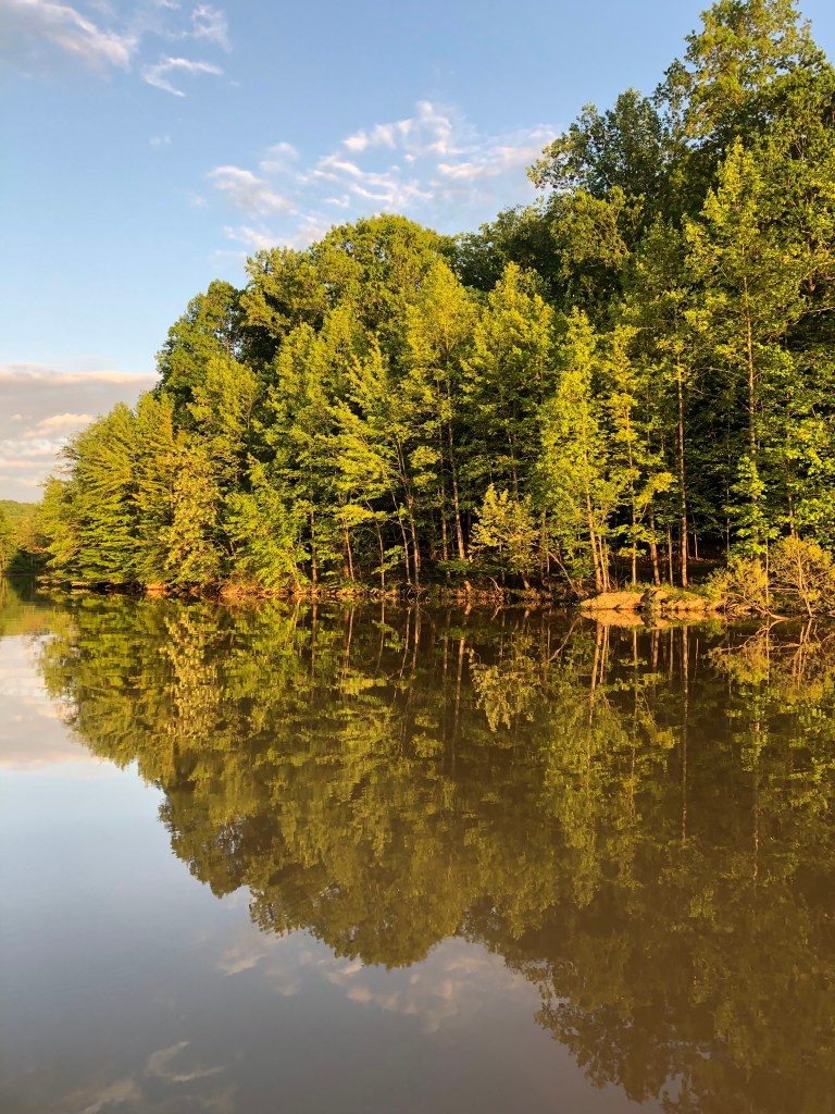 Frederick Green Picture Gallery – Working to Keep Frederick Green